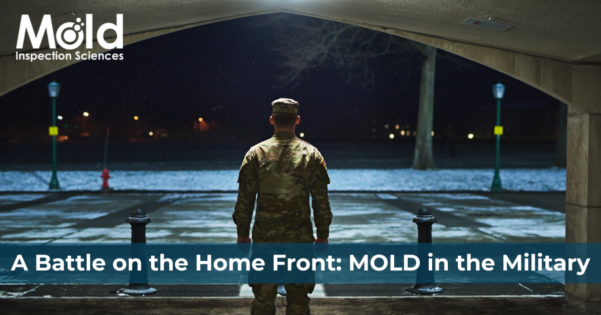 Identifying and Addressing Mold Problems in the Army