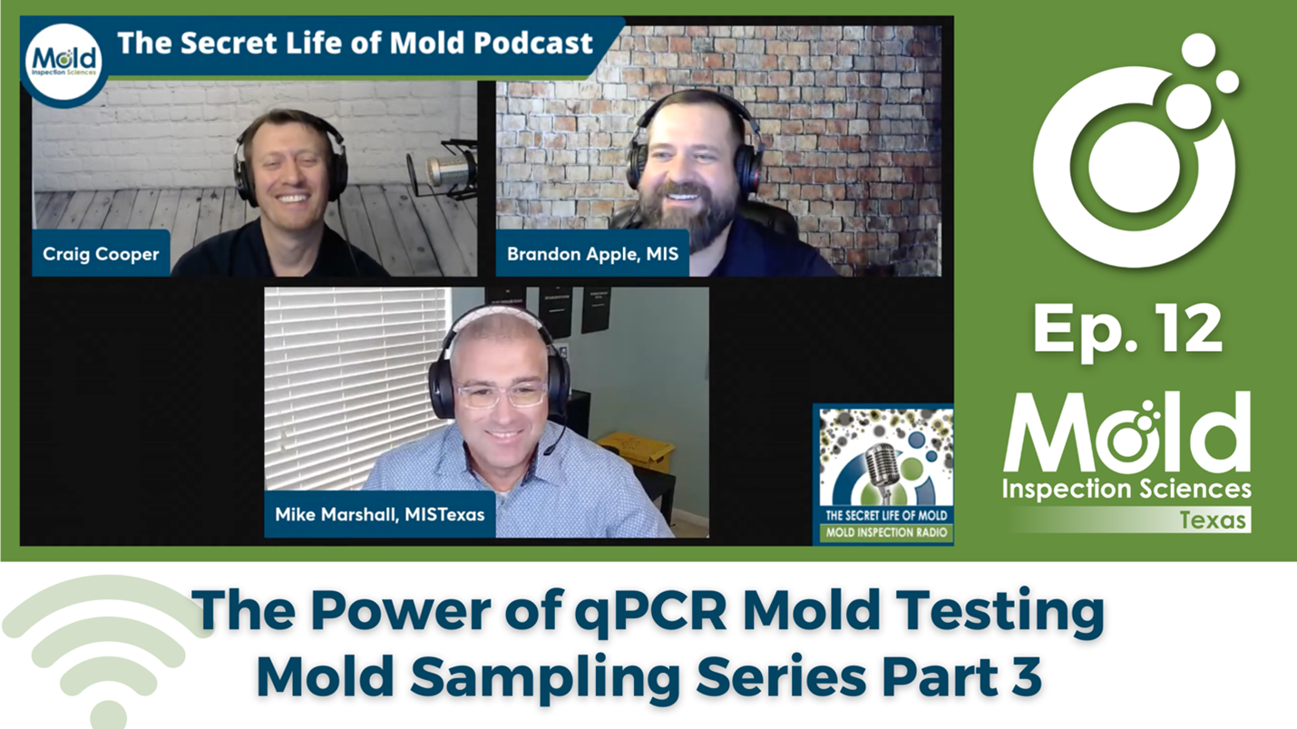Episode 11: Your Guide to Standard Sampling - Mold Sampling Series Part 2