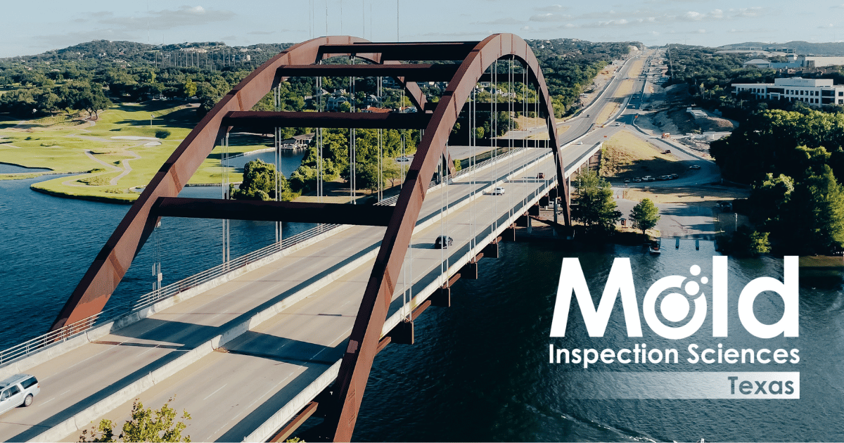 Austin Real Estate Mold Inspection Services | Mold Inspection Sciences