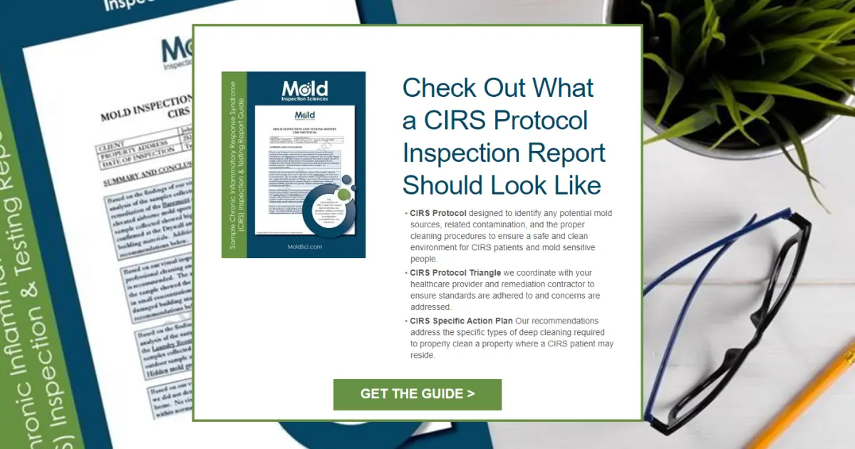 Check Out What a CIRS Protocol Inspection Report Should Look Like