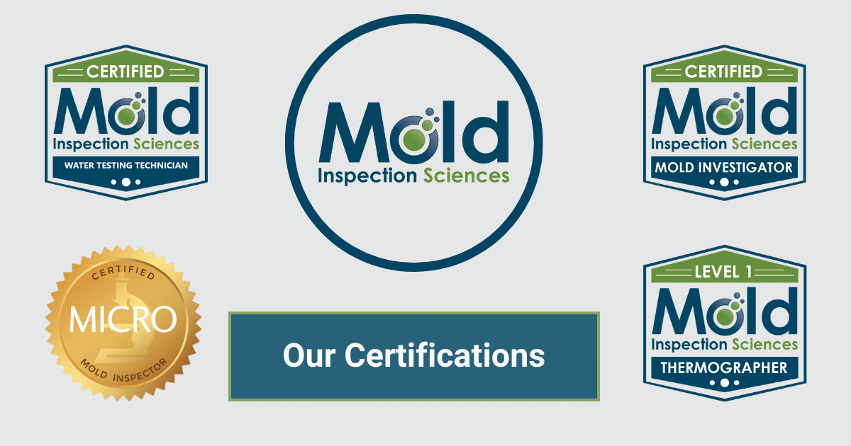 Licensed Mold Inspectors | Value of Certification, Education, Experience