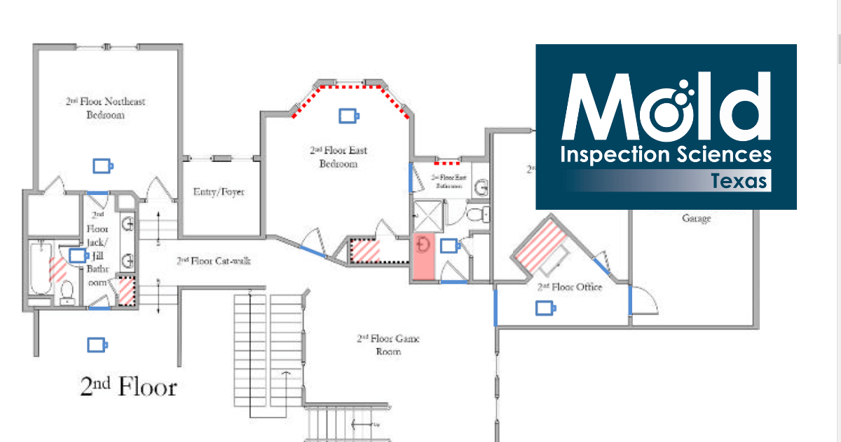 Comprehensive Mold Remediation Protocols | Mold Inspection Sciences